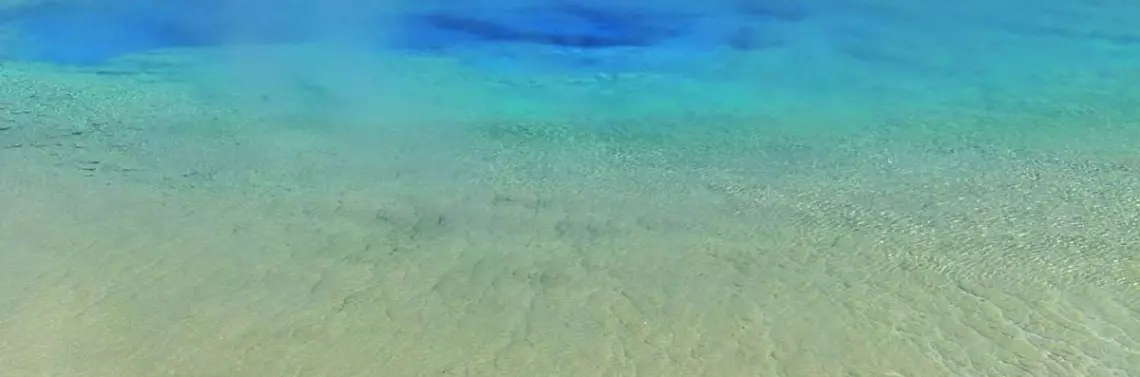 Archeony – trzecia domena życia - Czasopismo Biologia w szkole ...