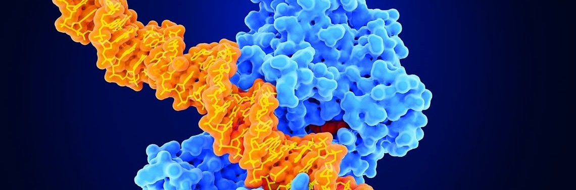 Biomarkery epigenetyczne. Metylacja DNA w procesie nowotworzenia ...