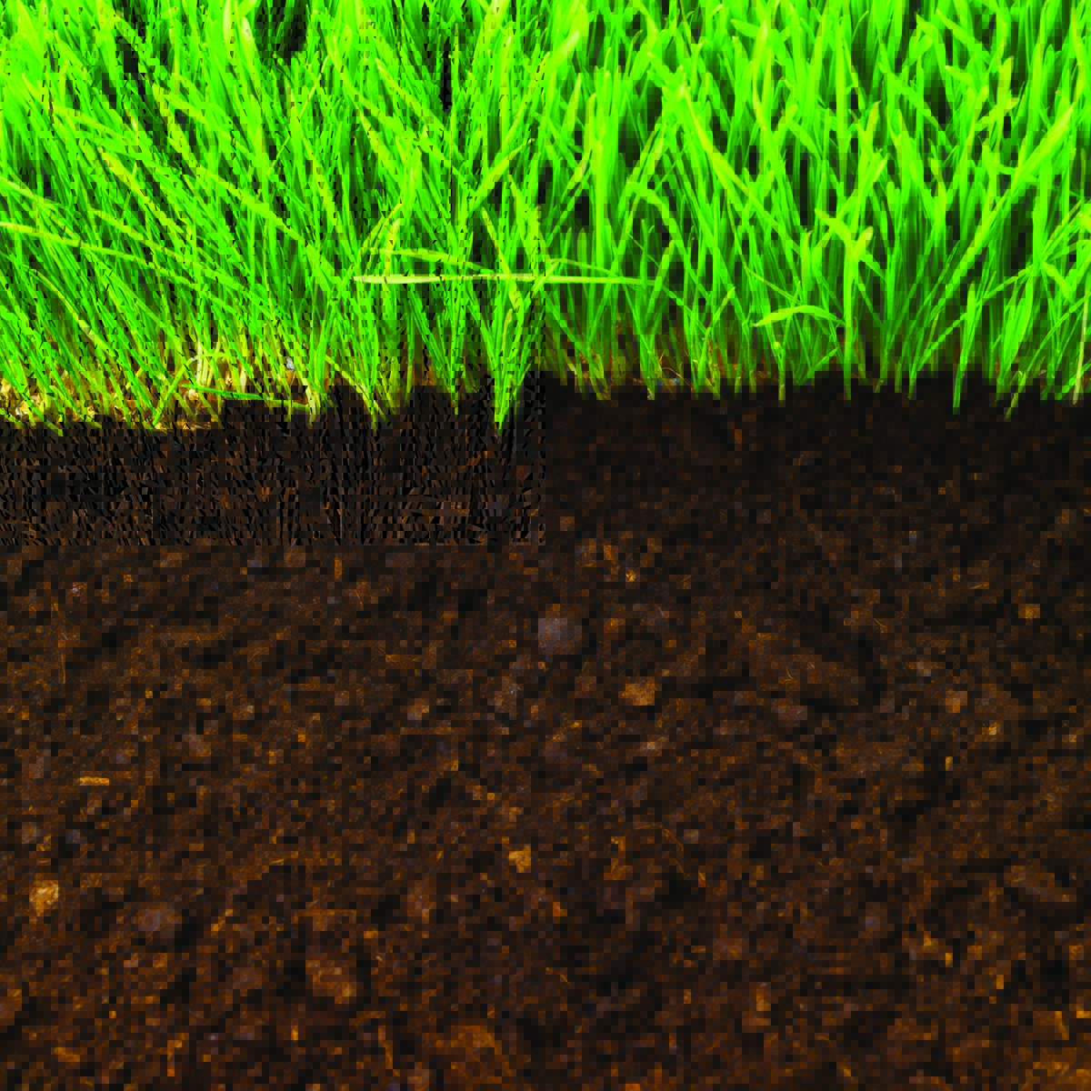 Gleba jako środowisko życia mikroorganizmów - Czasopismo Biologia w ...