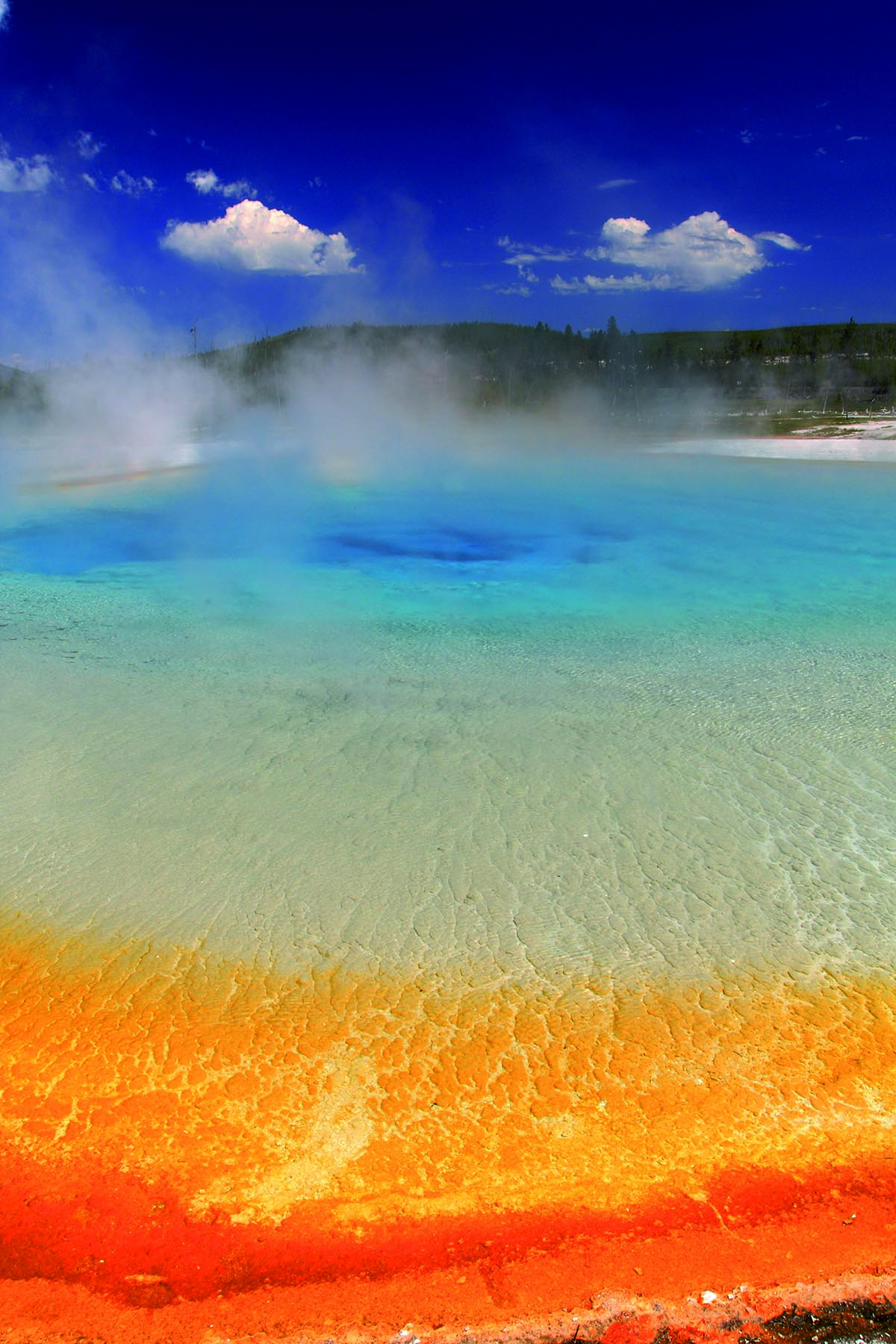 Archeony – trzecia domena życia - Czasopismo Biologia w szkole ...
