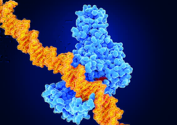 Biomarkery epigenetyczne. Metylacja DNA w procesie nowotworzenia ...
