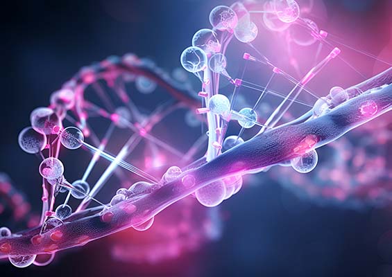 Duplikacja genów oparta na RNA – wpływ retrogenów na funkcjonowanie ...